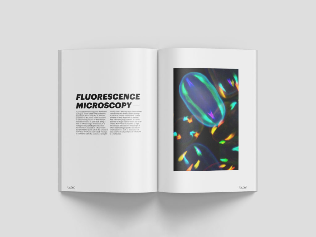 Mainframe Magazine – Portshowlio 2020